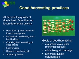 Harvesting | PPT