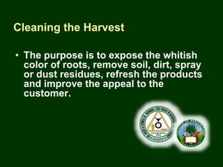 Harvesting-and-Post-Harvesting.ppt