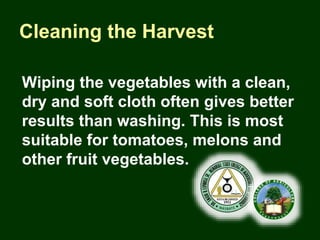 Harvesting-and-Post-Harvesting.ppt