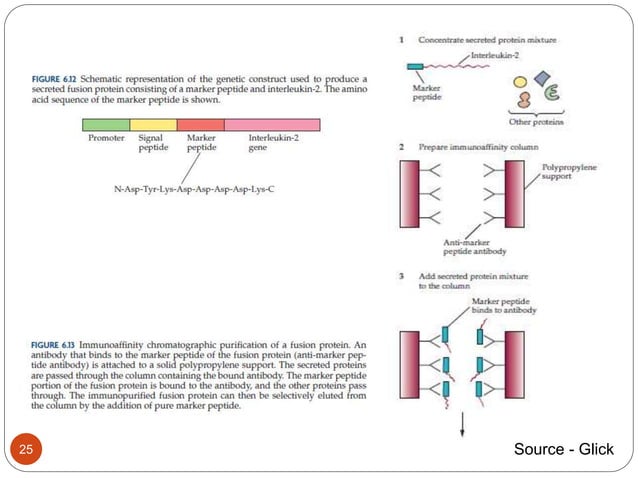 Harvesting and downstream product purification | PPTX