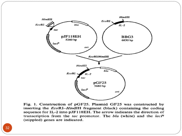 Harvesting and downstream product purification | PPTX
