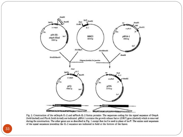 Harvesting and downstream product purification | PPTX