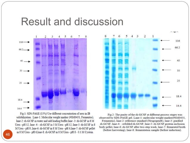 Harvesting and downstream product purification | PPTX