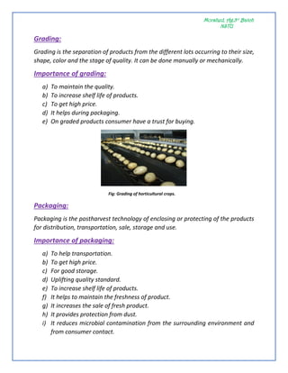 Harvesting and handling of horticultural crops,Part 1 | PDF