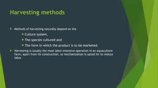 harvesting and post-harvest technology (1).pptx