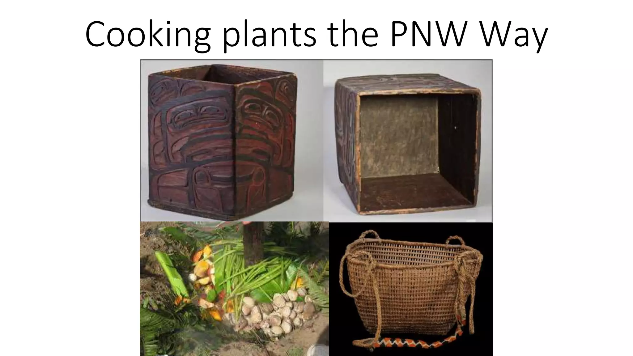 Harvesting & and cooking the pnw indigenous way | PDF
