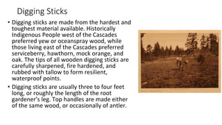 Harvesting & and cooking the pnw indigenous way | PPT
