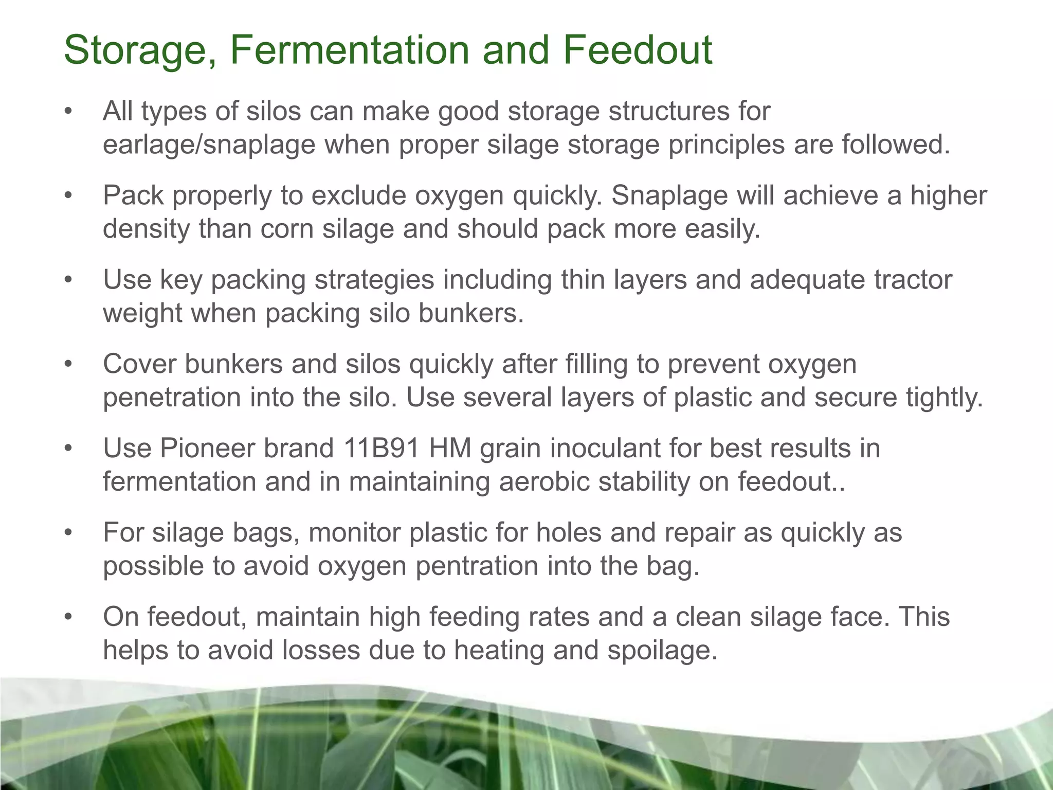 Harvesting Earlage & Snaplage Silage –Insights for Success | PPTX