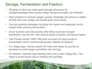 Harvesting Earlage & Snaplage Silage –Insights for Success | PPTX