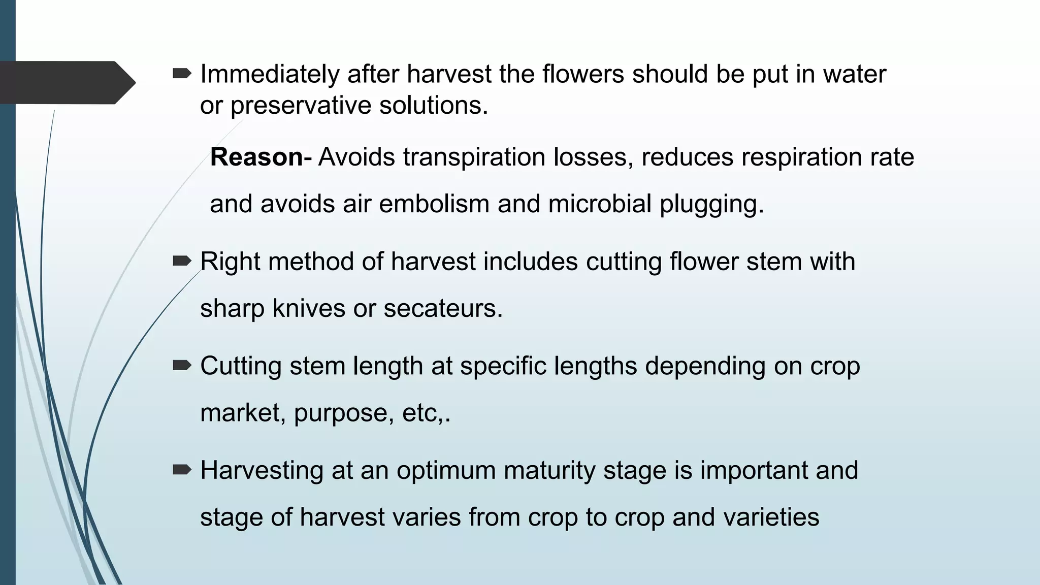 Harvesting Indices and Harvesting Techniques of Cut Flowers | PPTX
