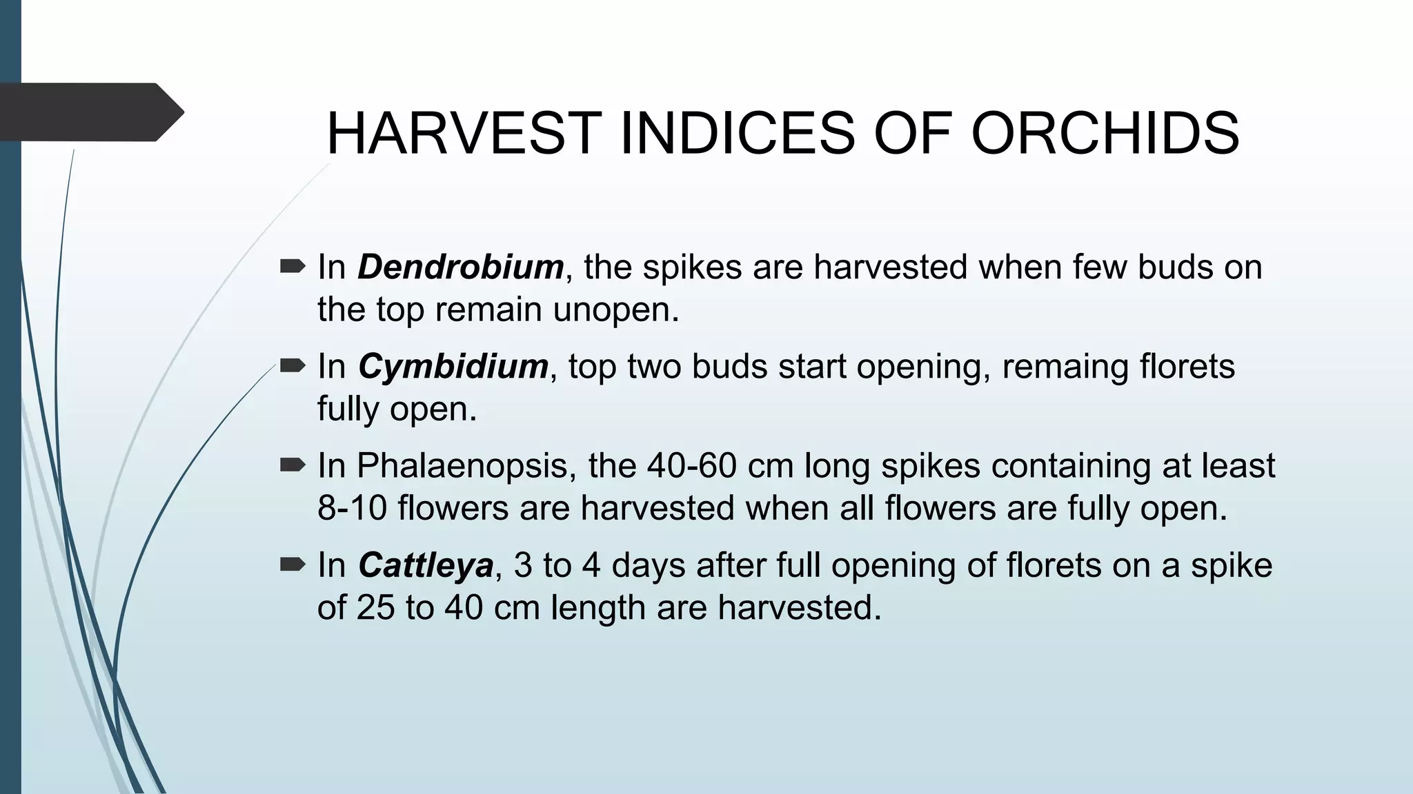 Harvesting Indices and Harvesting Techniques of Cut Flowers | PPTX