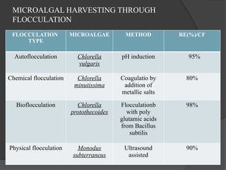 HARVESTING OF MICROALGAE BIOMASS (1).pptx