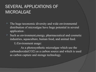 HARVESTING OF MICROALGAE BIOMASS (1).pptx