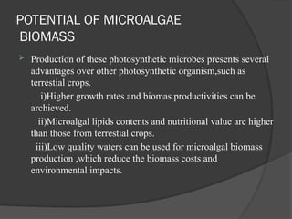 HARVESTING OF MICROALGAE BIOMASS (1).pptx