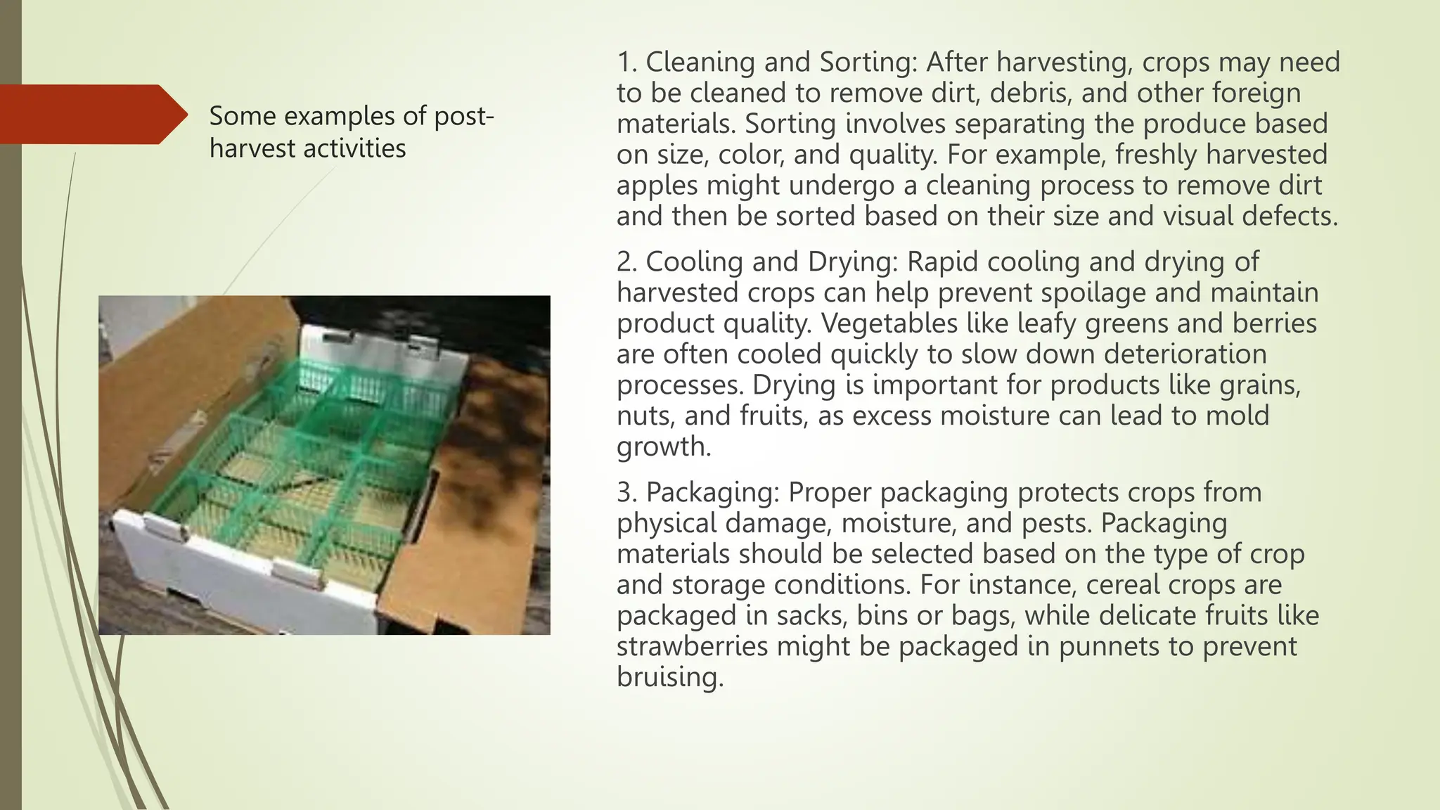 Harvesting, Storage and Post-Harvesting.pptx