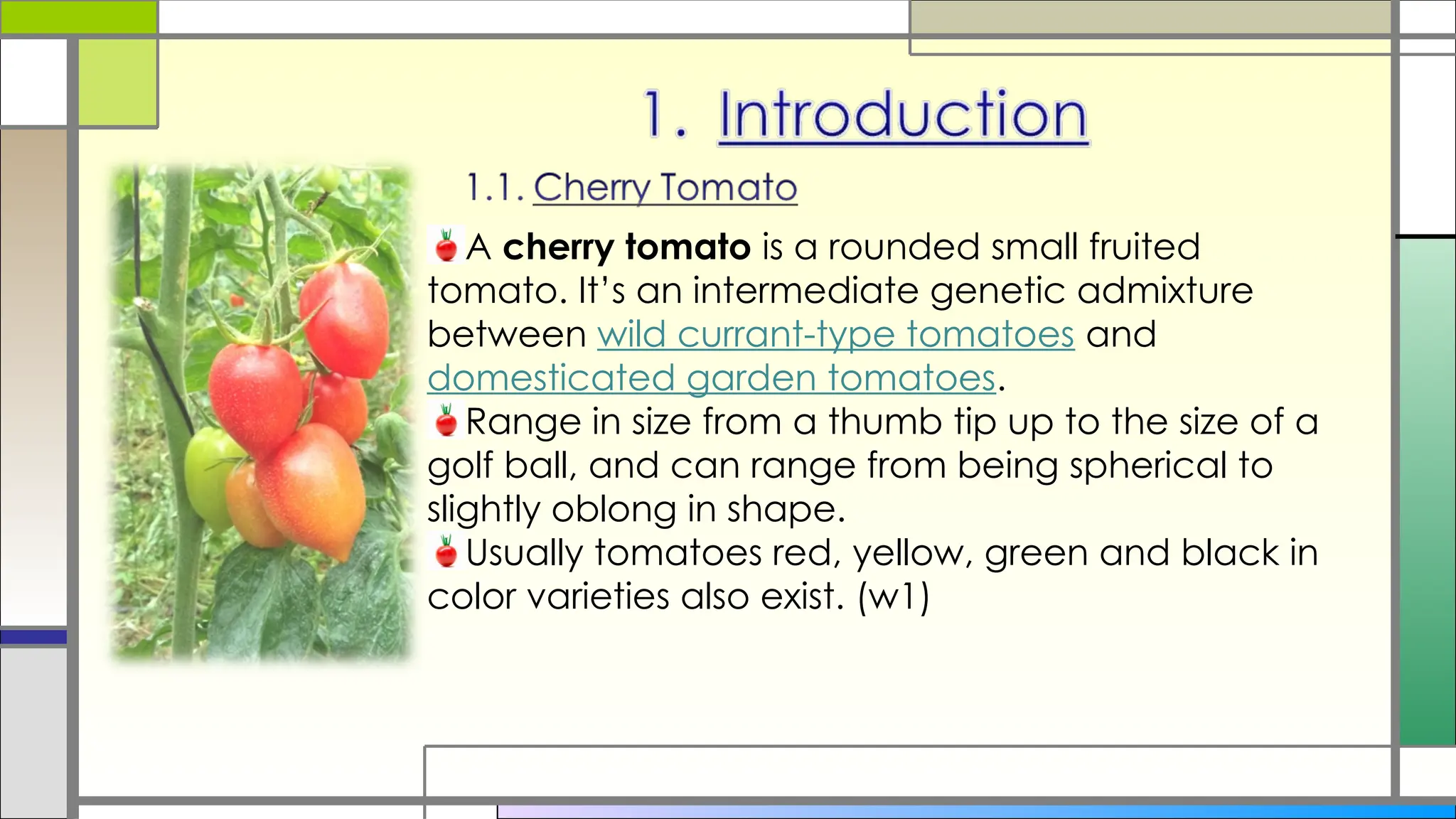 Harvesting Technology and Packaging Process of Cherry Tomato.ppt