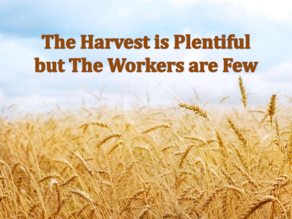 The Harvest are Plentiful But The Workers are Few