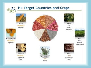 Harvest plus | PPTX | Agriculture | Industries