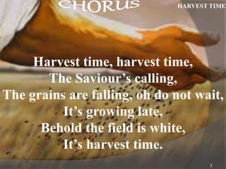 HARVEST TIME | PPTX
