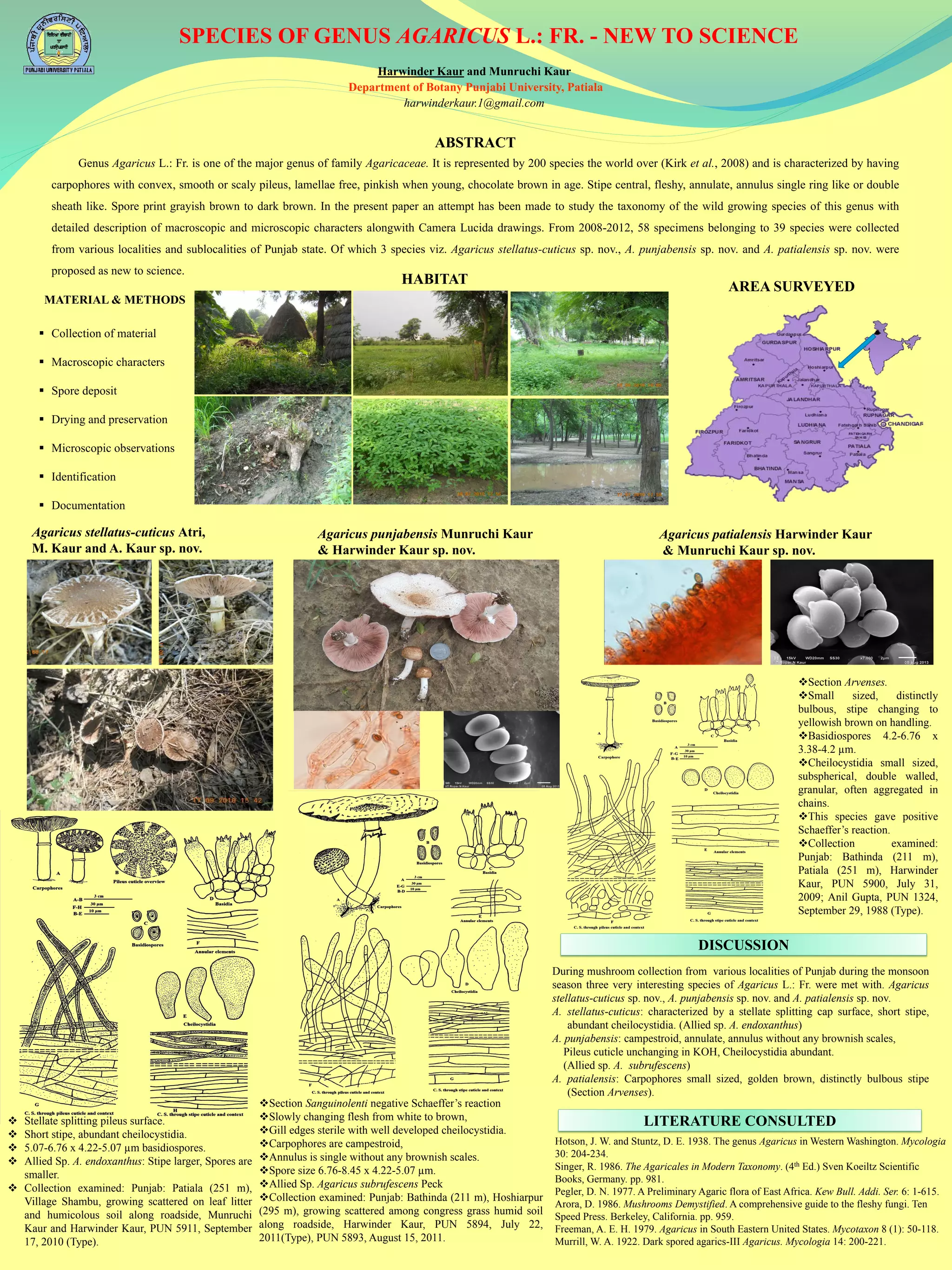 SPECIES OF GENUS AGARICUS L.: FR. | PDF