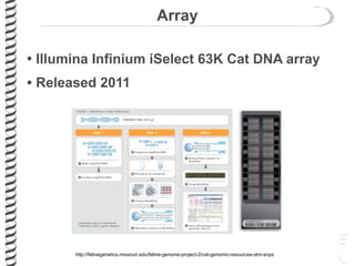 Feline Array PAG 2016 | PPT