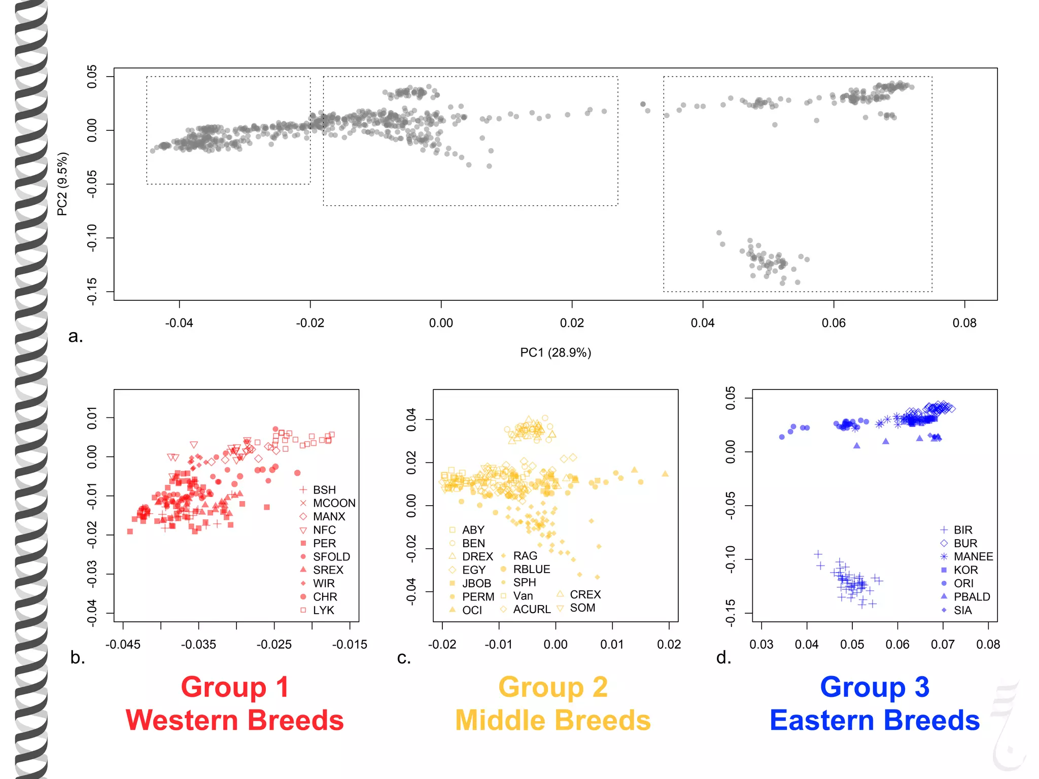 Cat signatures of selection | PDF | Genetics | Science