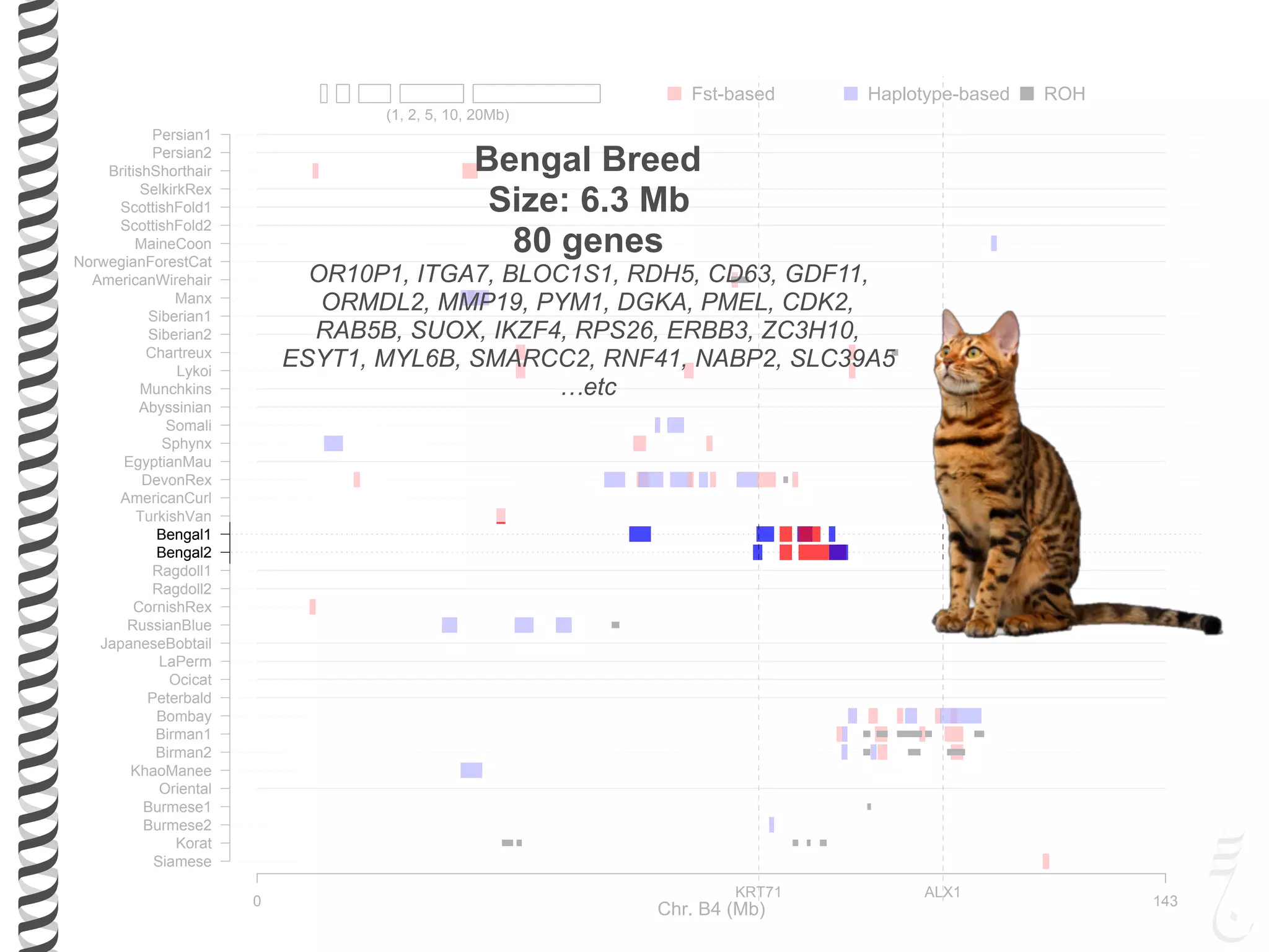 Cat signatures of selection | PPT