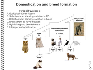 Cat signatures of selection | PPT