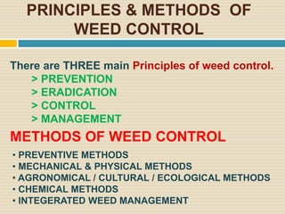 Weed Management Rabi Crops by Haseena Shabnam | PPTX
