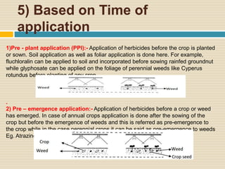 Weed Management Rabi Crops by Haseena Shabnam | PPTX