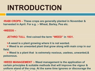 Weed Management Rabi Crops by Haseena Shabnam | PPTX
