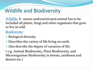 Presentation on wildlife - Akib Sumon | PPTX