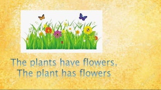 Using Has and Have | PPTX