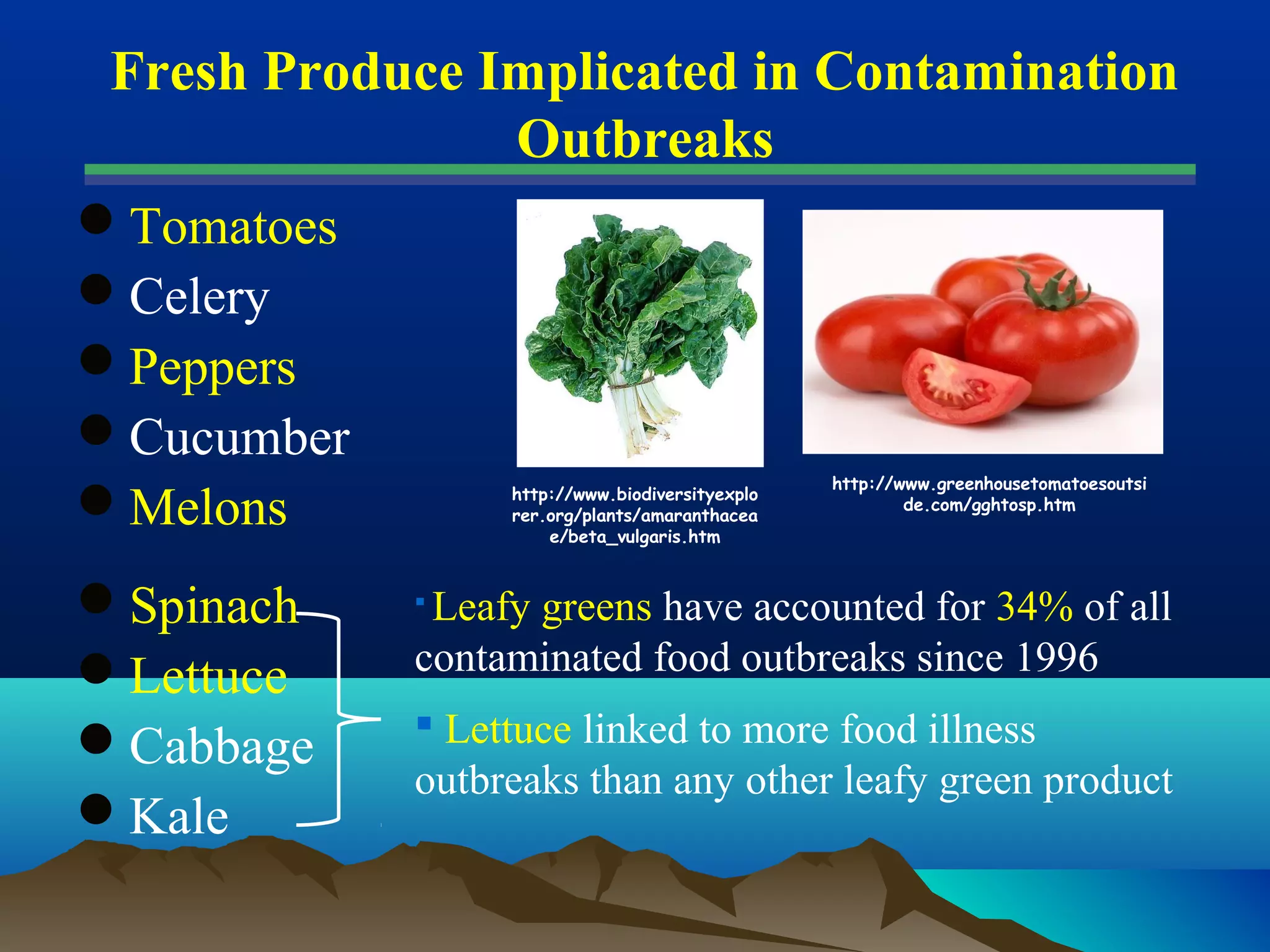 Agricultural Water as a Potential Source of Bacterial Contamination to ...