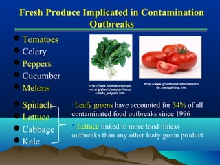 Agricultural Water as a Potential Source of Bacterial Contamination to ...