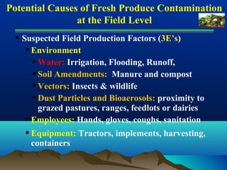 Agricultural Water as a Potential Source of Bacterial Contamination to ...