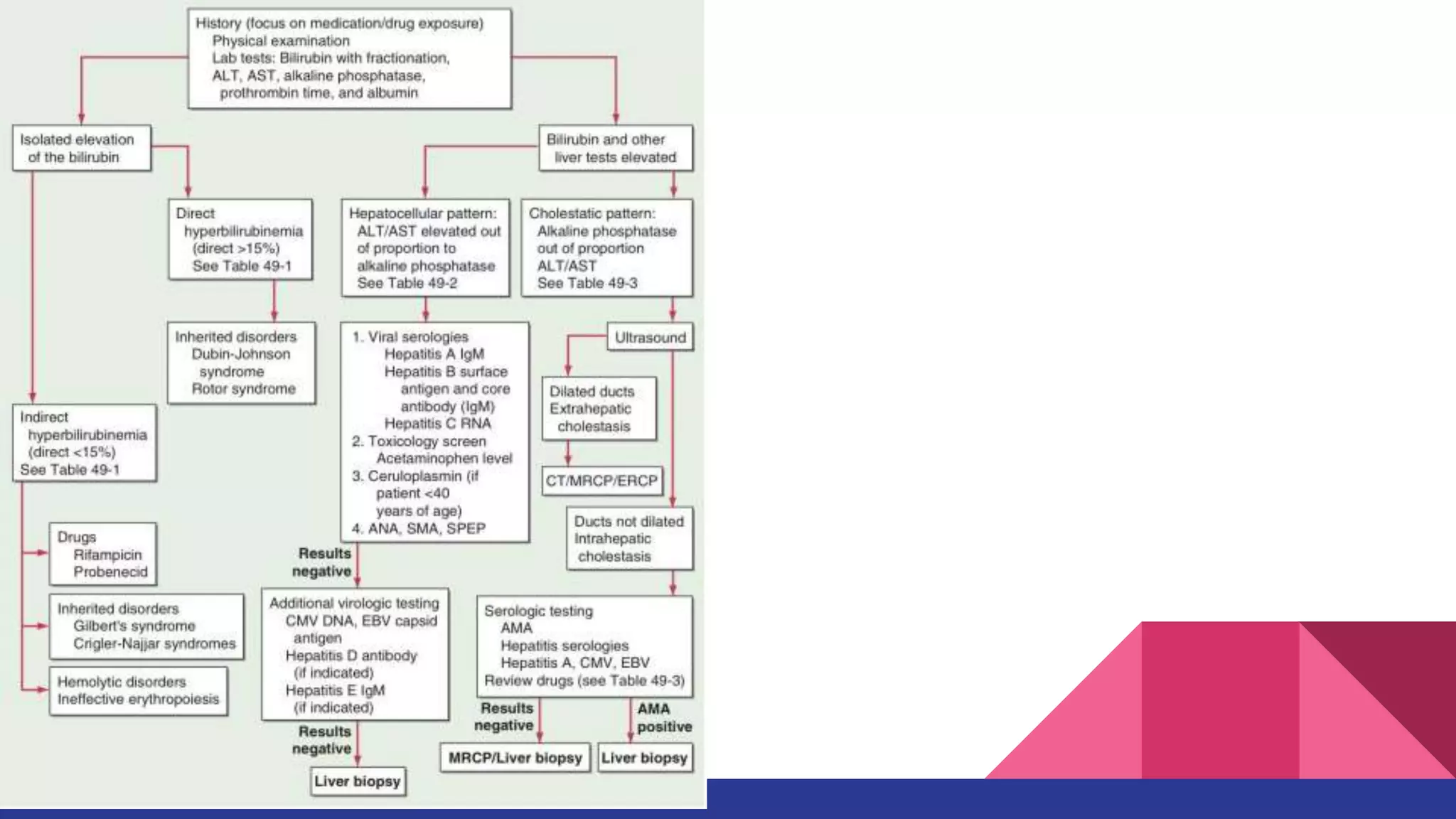 approach to jaundice.pptx