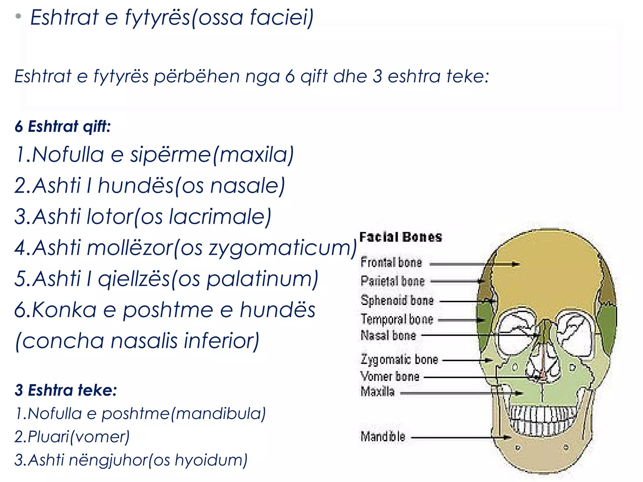 Hashim Beqiraj Anatomia Funksionale e Njeriut | PPT
