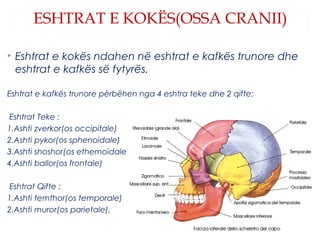 Hashim Beqiraj Anatomia Funksionale e Njeriut | PPT