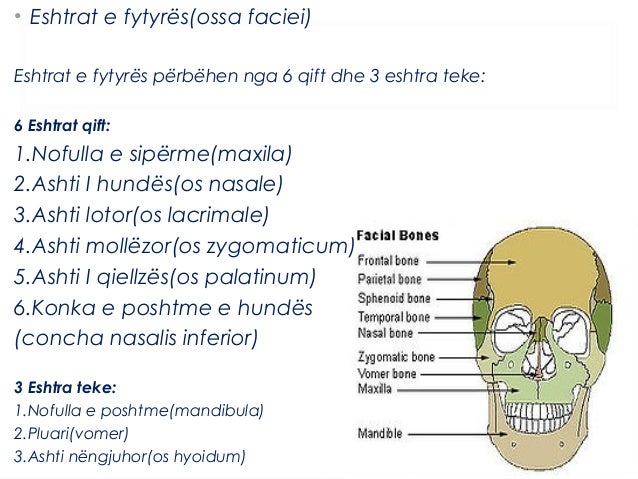 Hashim Beqiraj Anatomia Funksionale e Njeriut