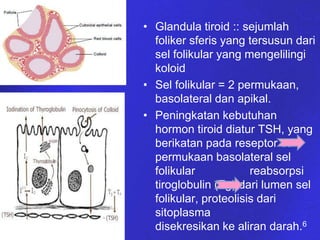 Hashimoto disease | PPTX