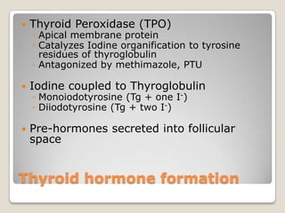 Hashimoto’s thyroiditis | PPTX