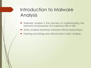 Hashing_and_Strings_in_Malware_Analysis_PPT.pptx