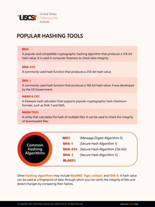 Hashing in Cybersecurity - Can AI Alter the Future of Encryption? | USCSI® | PDF