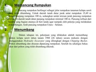 Hasil laporan praktek kerja lapangan | PPTX