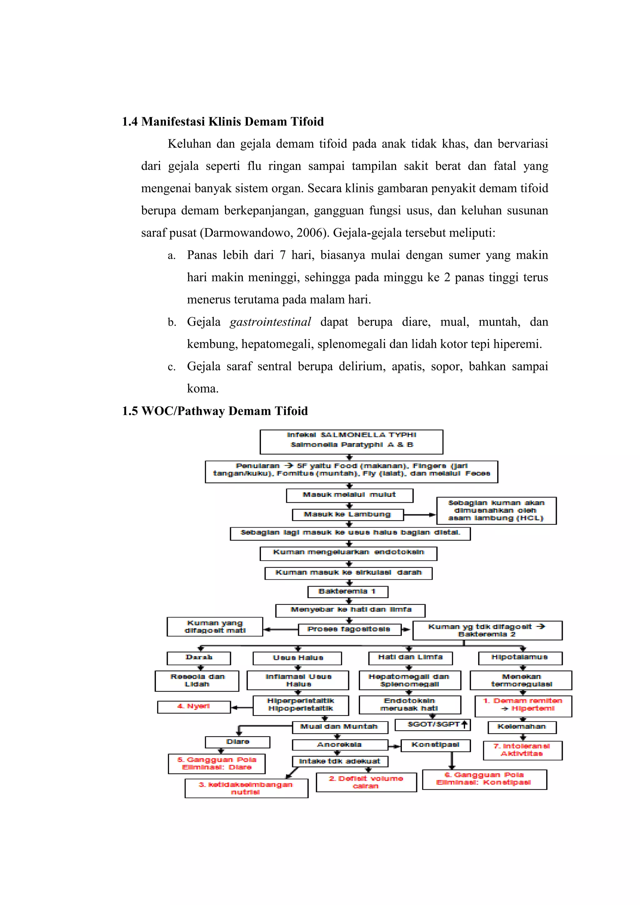 demam tifoid amee | DOCX