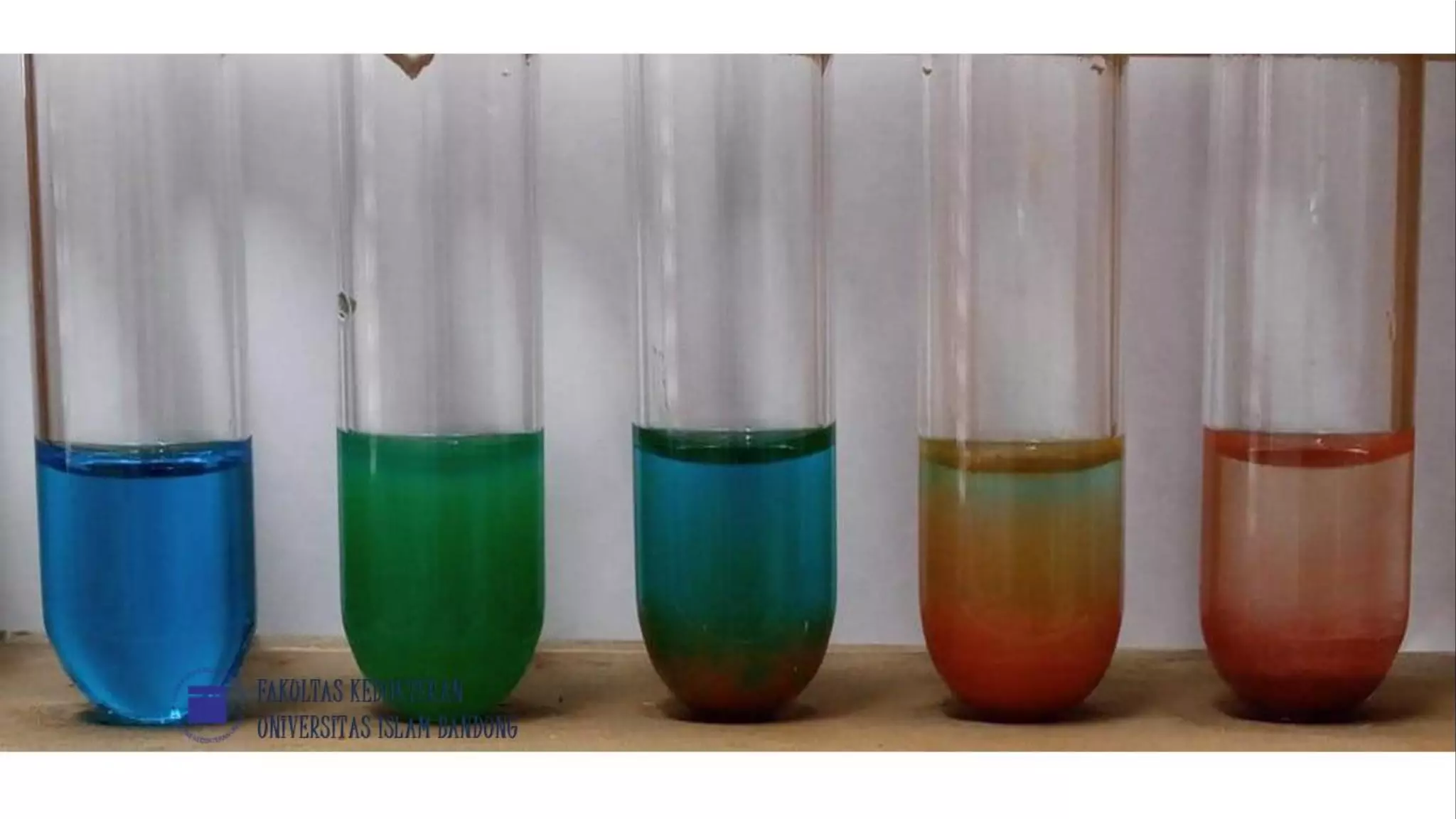 BENEDICT TEST PRECIPITATE FK UNISBA fit (2) | PDF