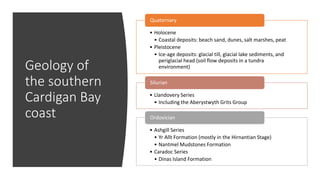 The Geology of the south Cardigan Bay coast. | PDF