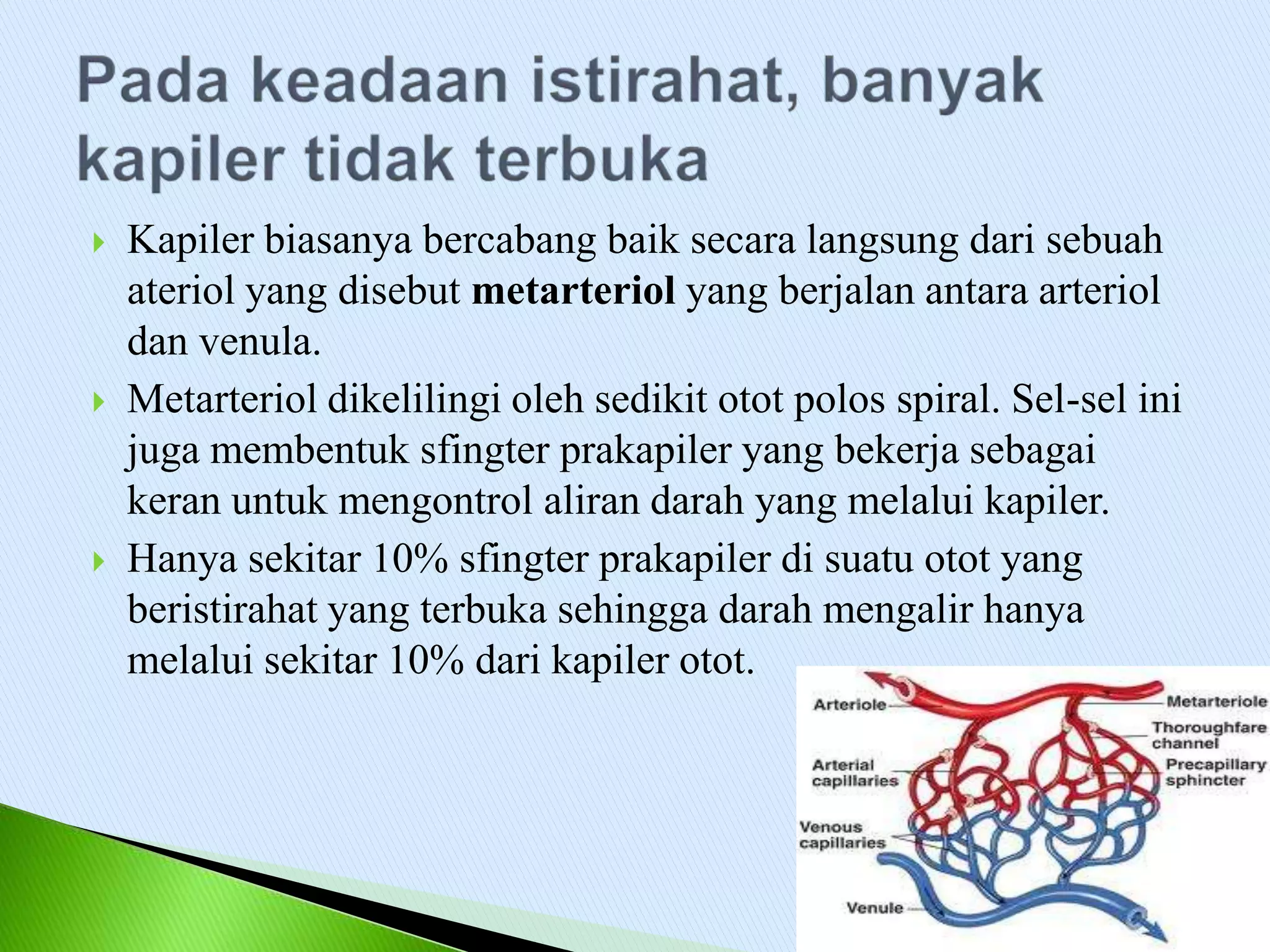 Pembuluh Darah Kapiler | PPTX