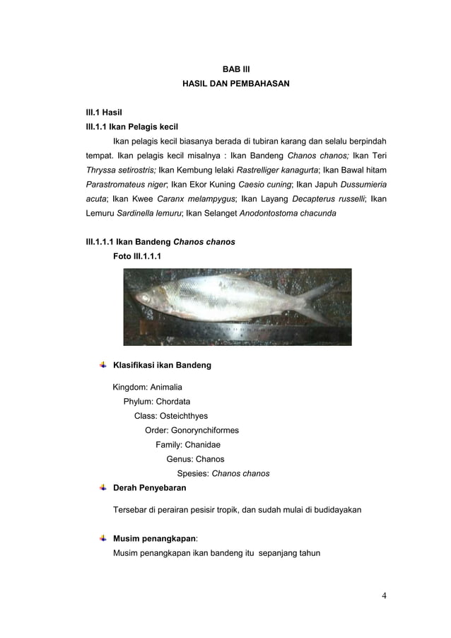 Laporan Praktik Lapang Hasil-hasil Perikanan | PDF